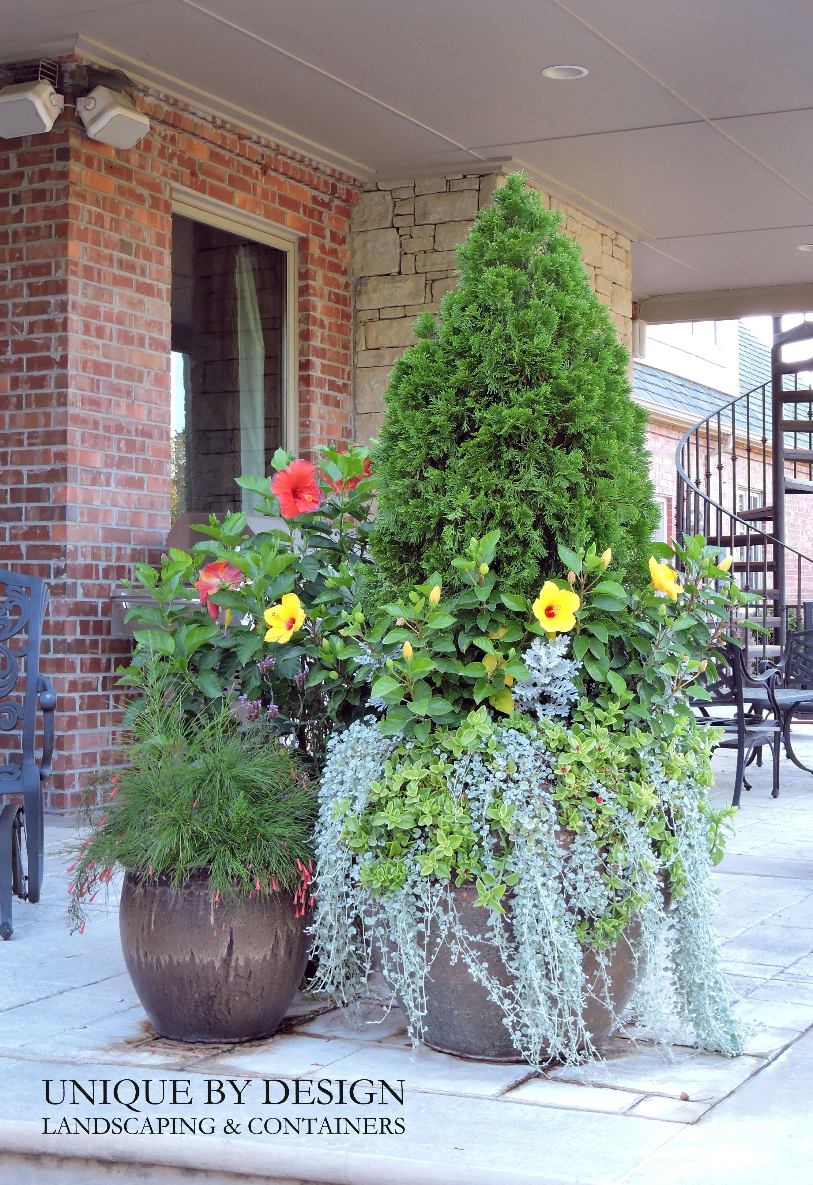 25 Unusual Container Gardening Ideas You Cannot Miss | SharonSable