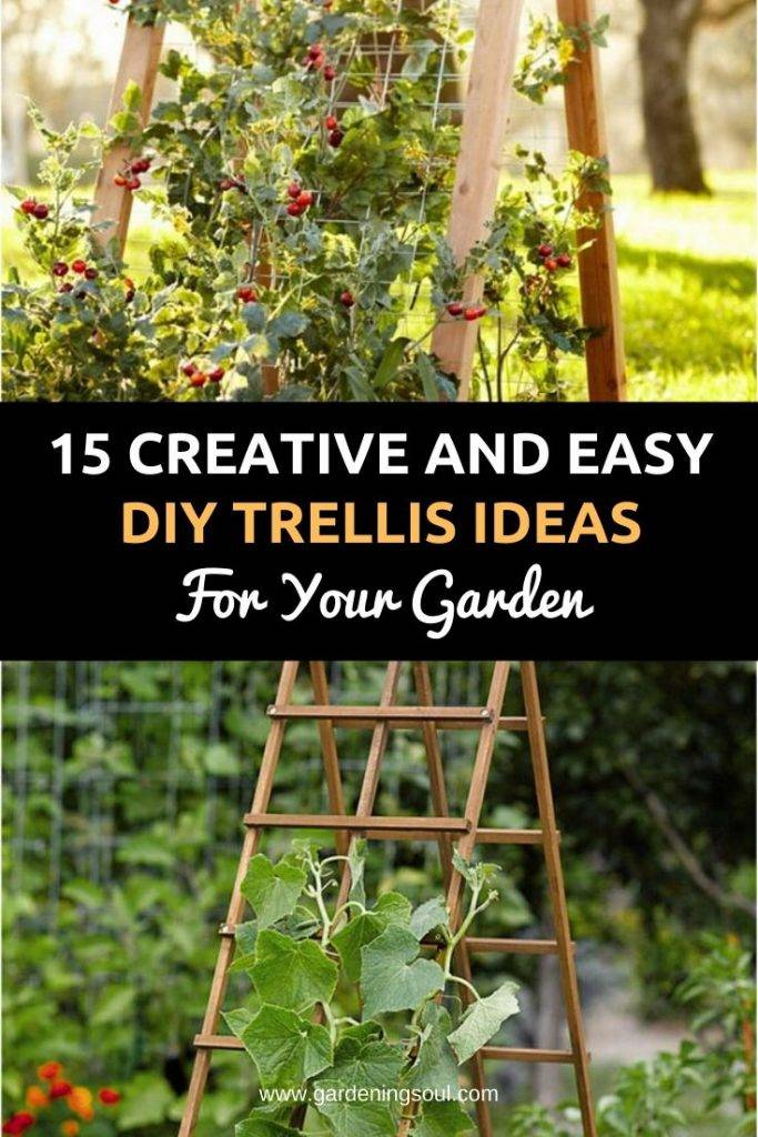 17 Garden Trellis for Climbing Plants Ideas You Must Look | SharonSable