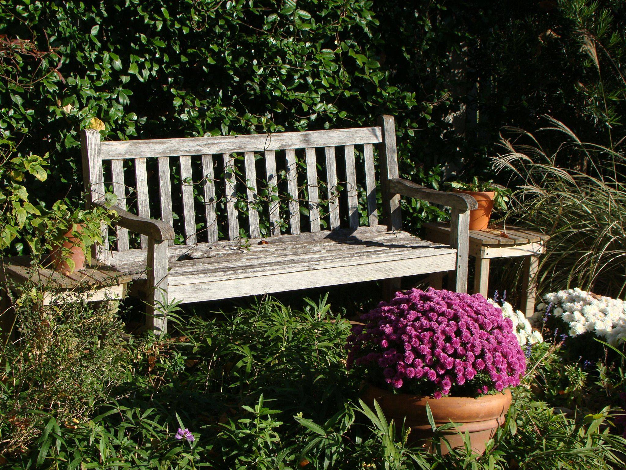 22 Flower Garden Bench Ideas To Try This Year | SharonSable