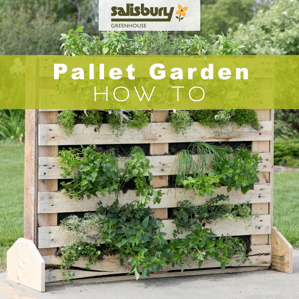 23 Pallet Vegetable Garden Ideas You Should Check | SharonSable