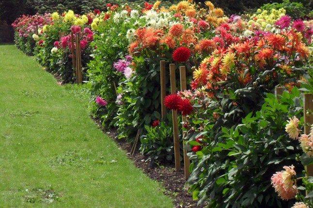 22 Cutting Flower Garden Design Plans Ideas You Should Look | SharonSable