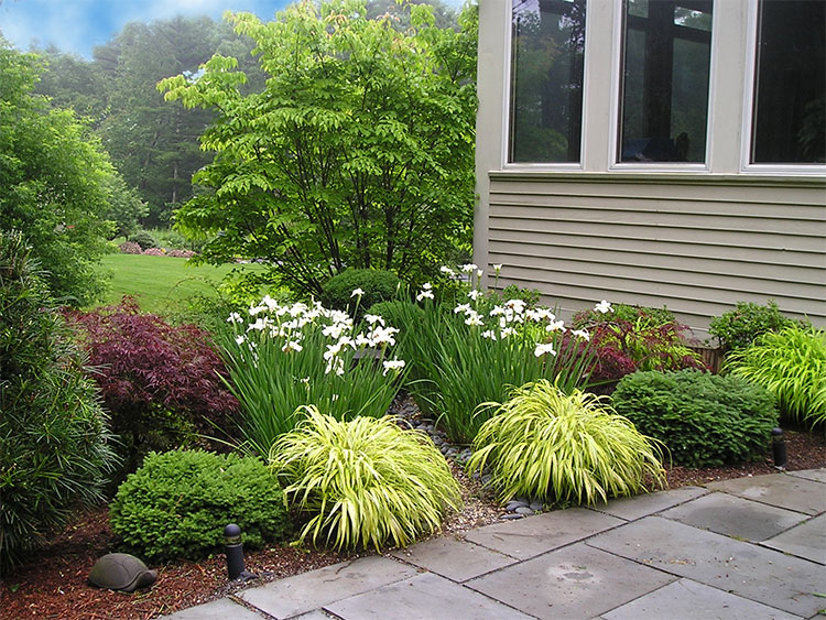 19 Shrub Garden Plans Ideas Worth a Look | SharonSable