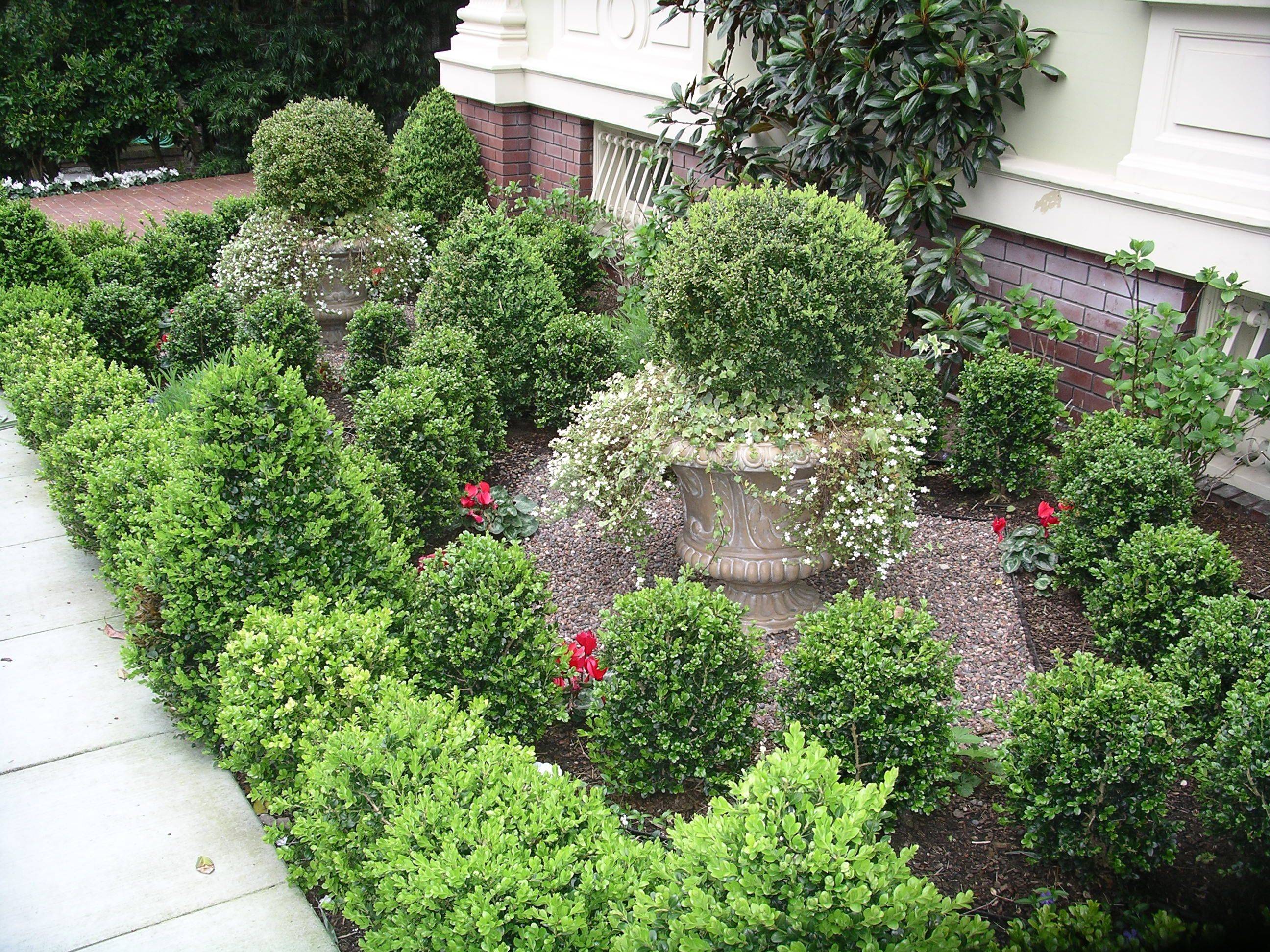 16 Boxwood Garden Design Ideas You Cannot Miss | SharonSable