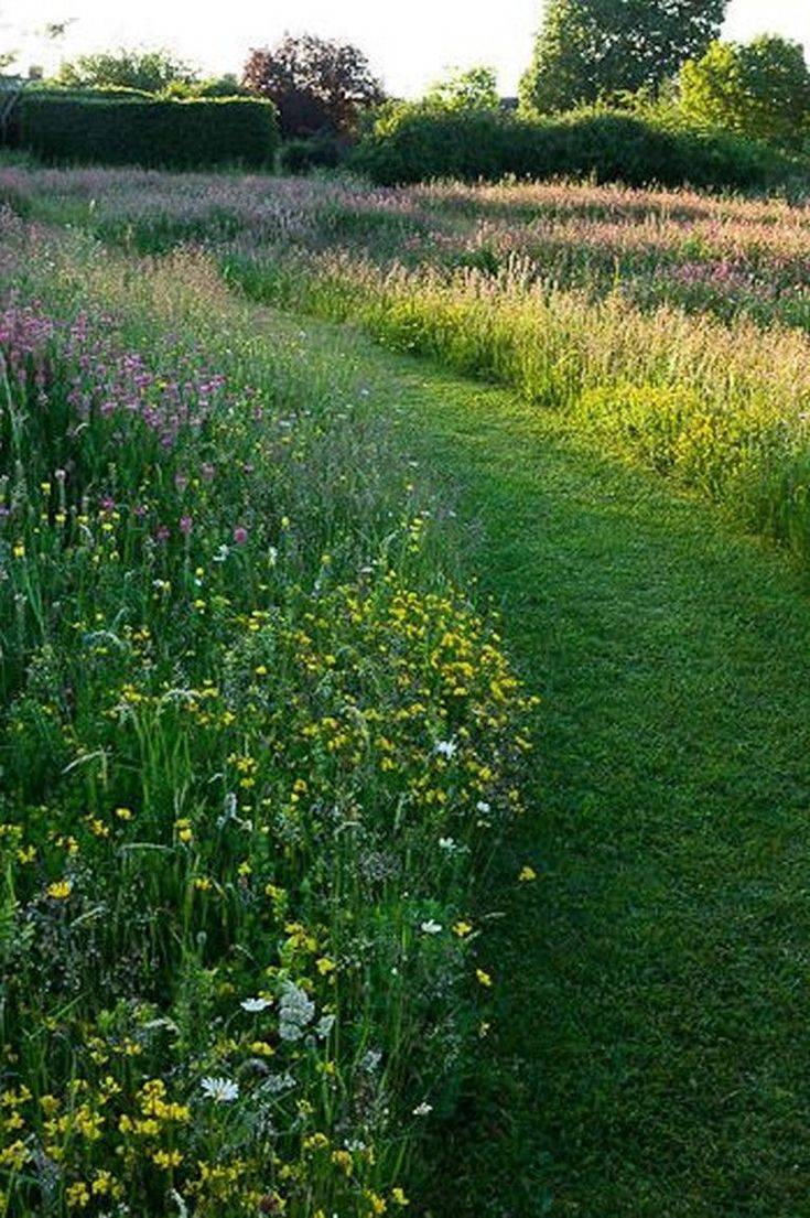 23 Natural Wildflower Garden Ideas To Consider | SharonSable
