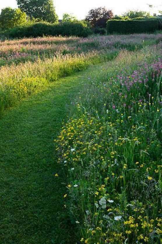 23 Natural Wildflower Garden Ideas To Consider | SharonSable