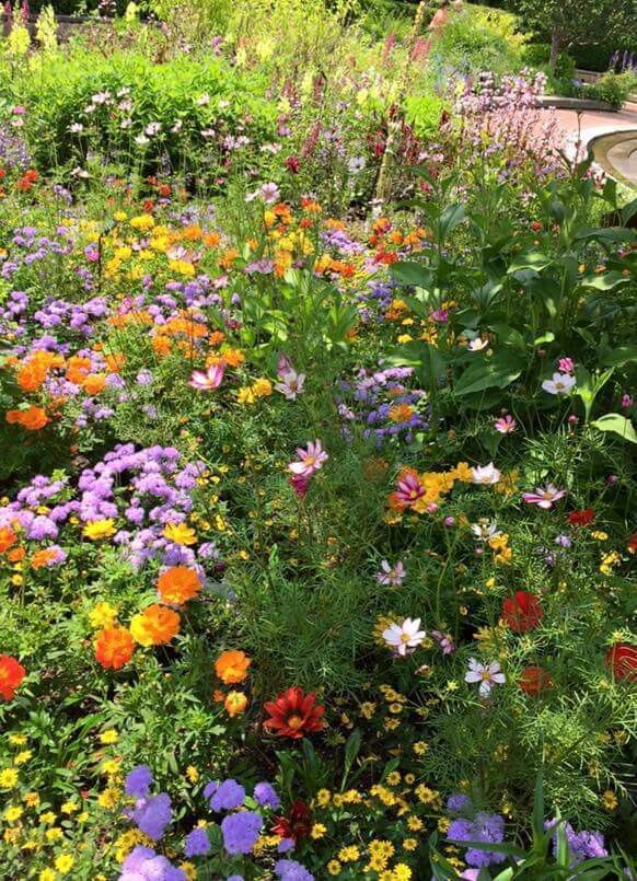 23 Natural Wildflower Garden Ideas To Consider | SharonSable