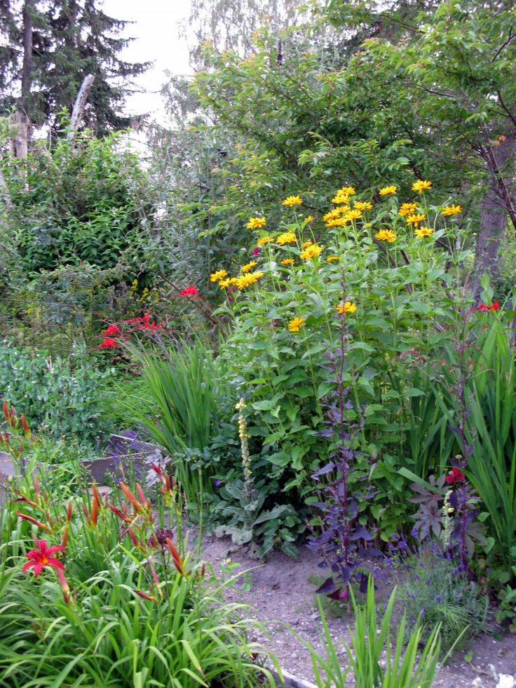 23 Natural Wildflower Garden Ideas To Consider | SharonSable