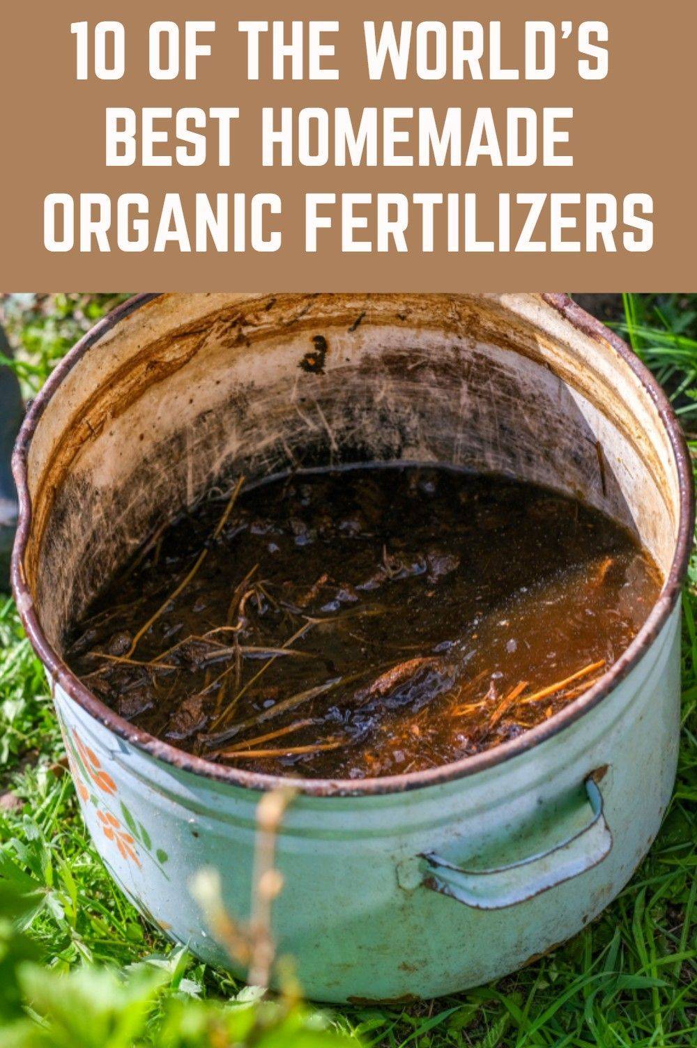 20 Vegetable Garden Fertilizer Ideas To Consider | SharonSable