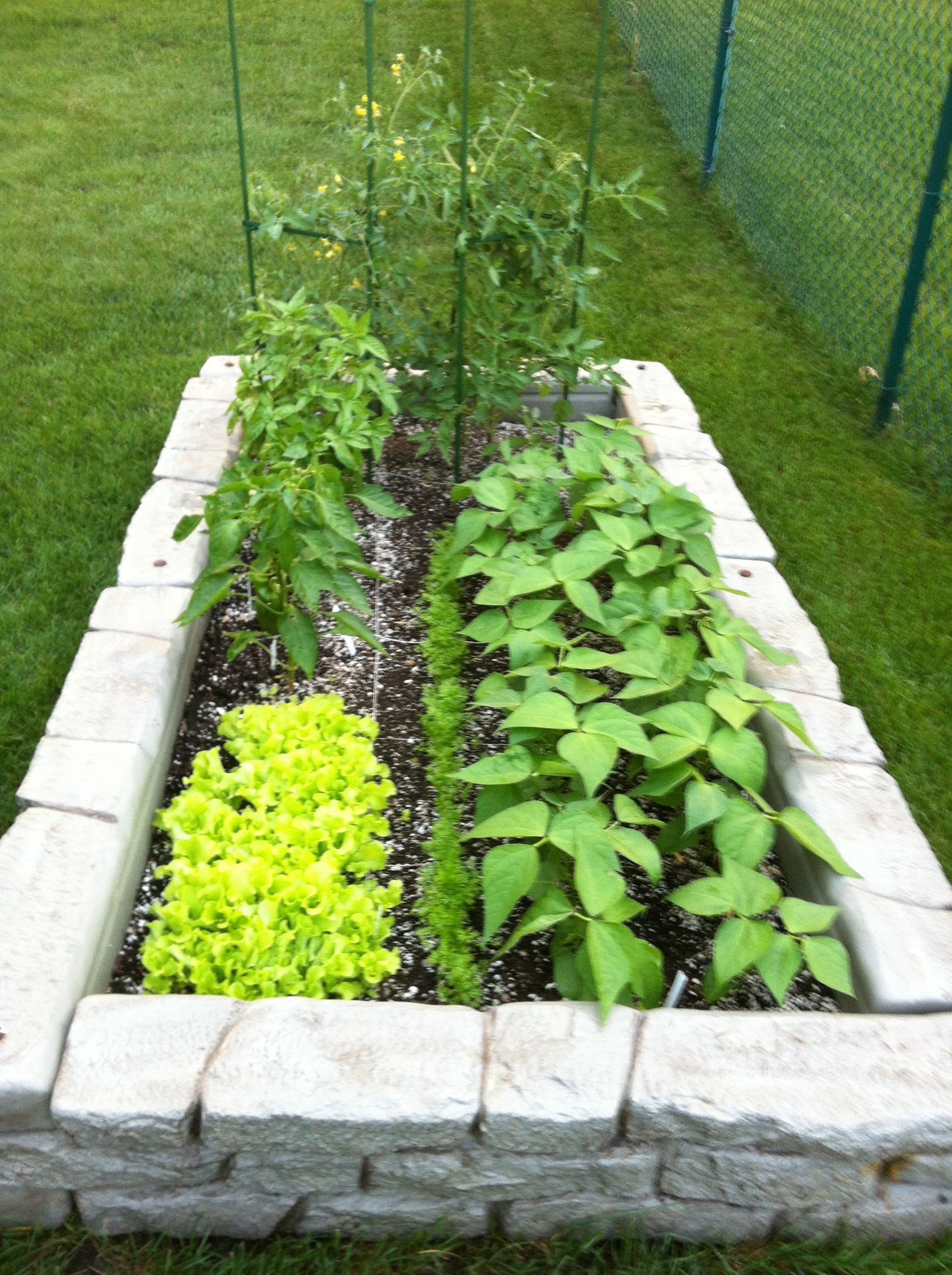 20 Spring Vegetable Garden Ideas You Should Check | SharonSable