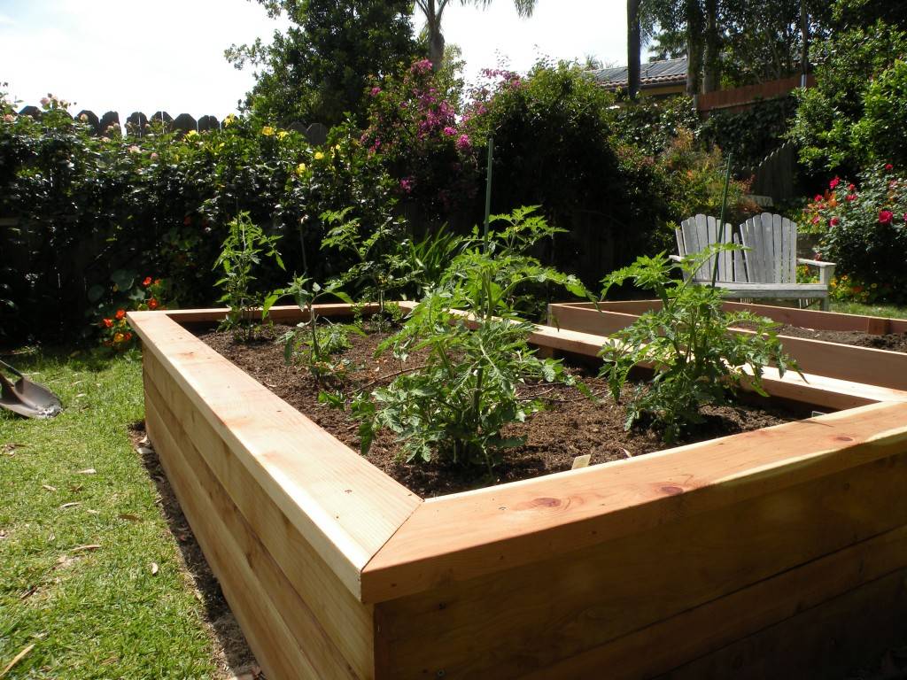 21 Vegetable Garden Boxes Ideas You Must Look | SharonSable