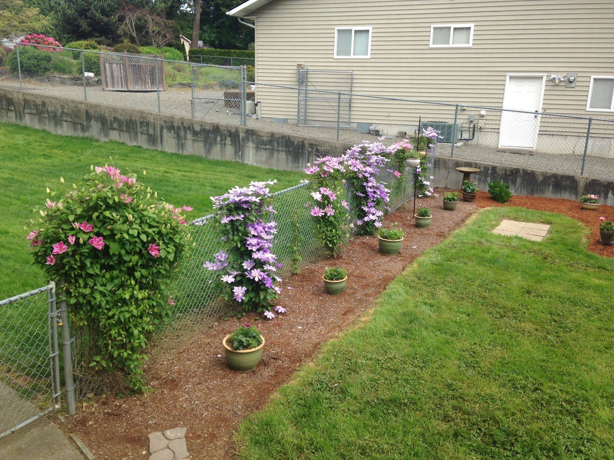 21 Flower Garden along Fences Ideas You Should Check | SharonSable