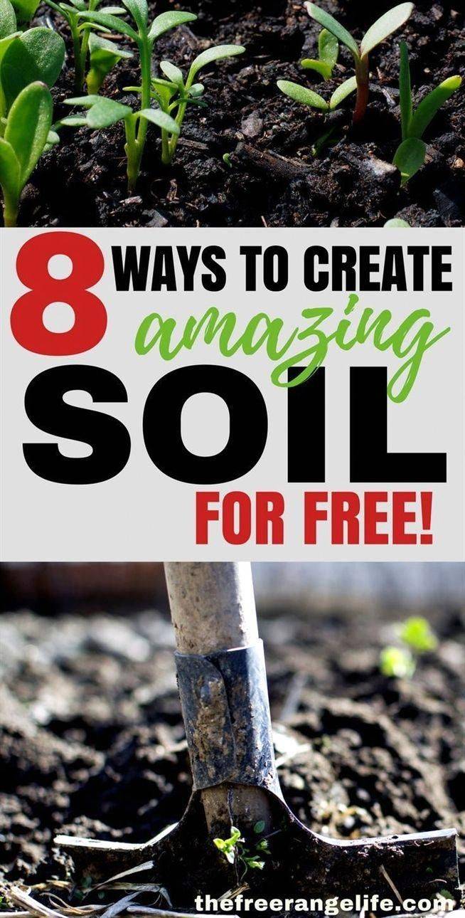 21 Organic Garden Soil Ideas Worth a Look | SharonSable