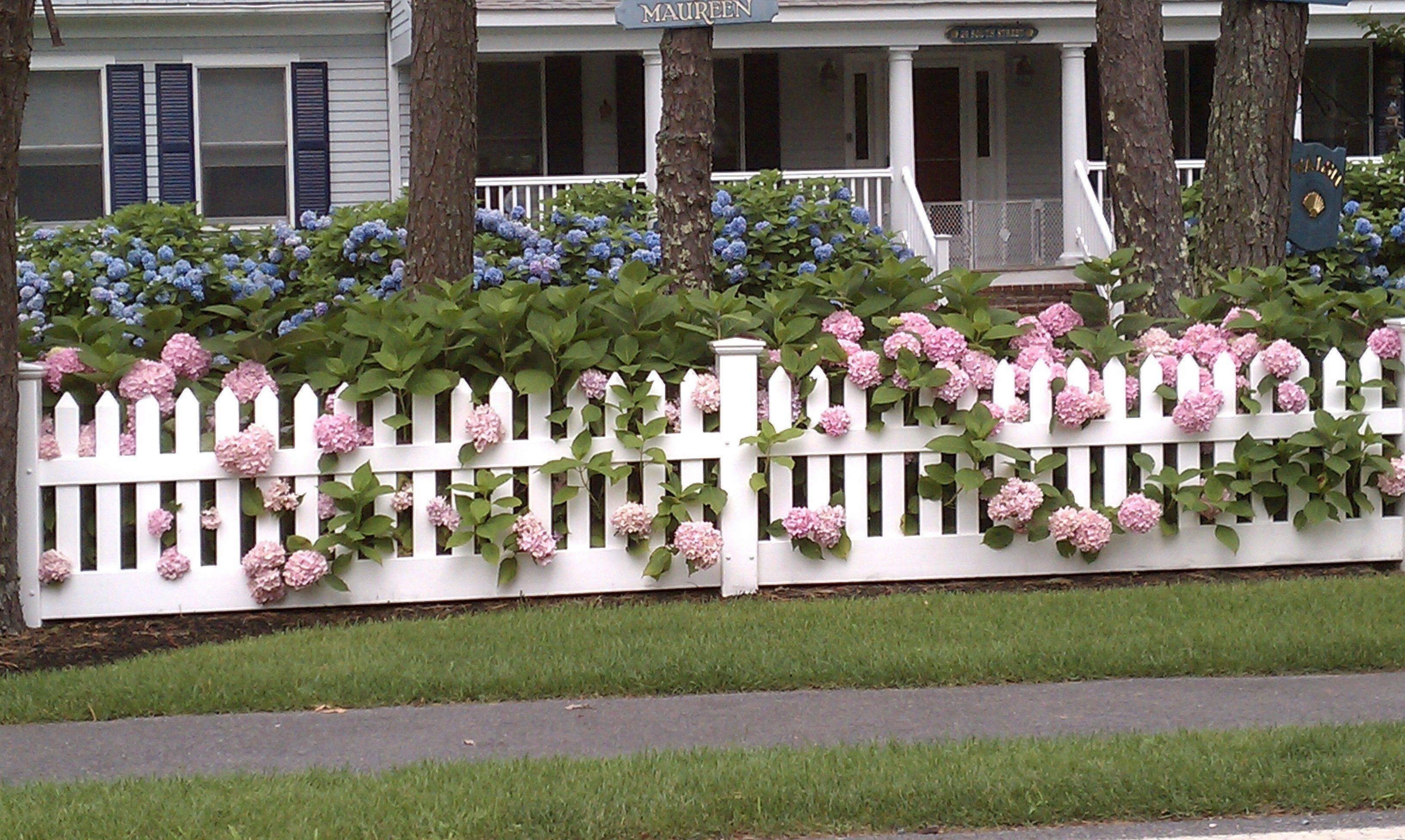 18 White Picket Fence Garden Ideas To Consider | SharonSable