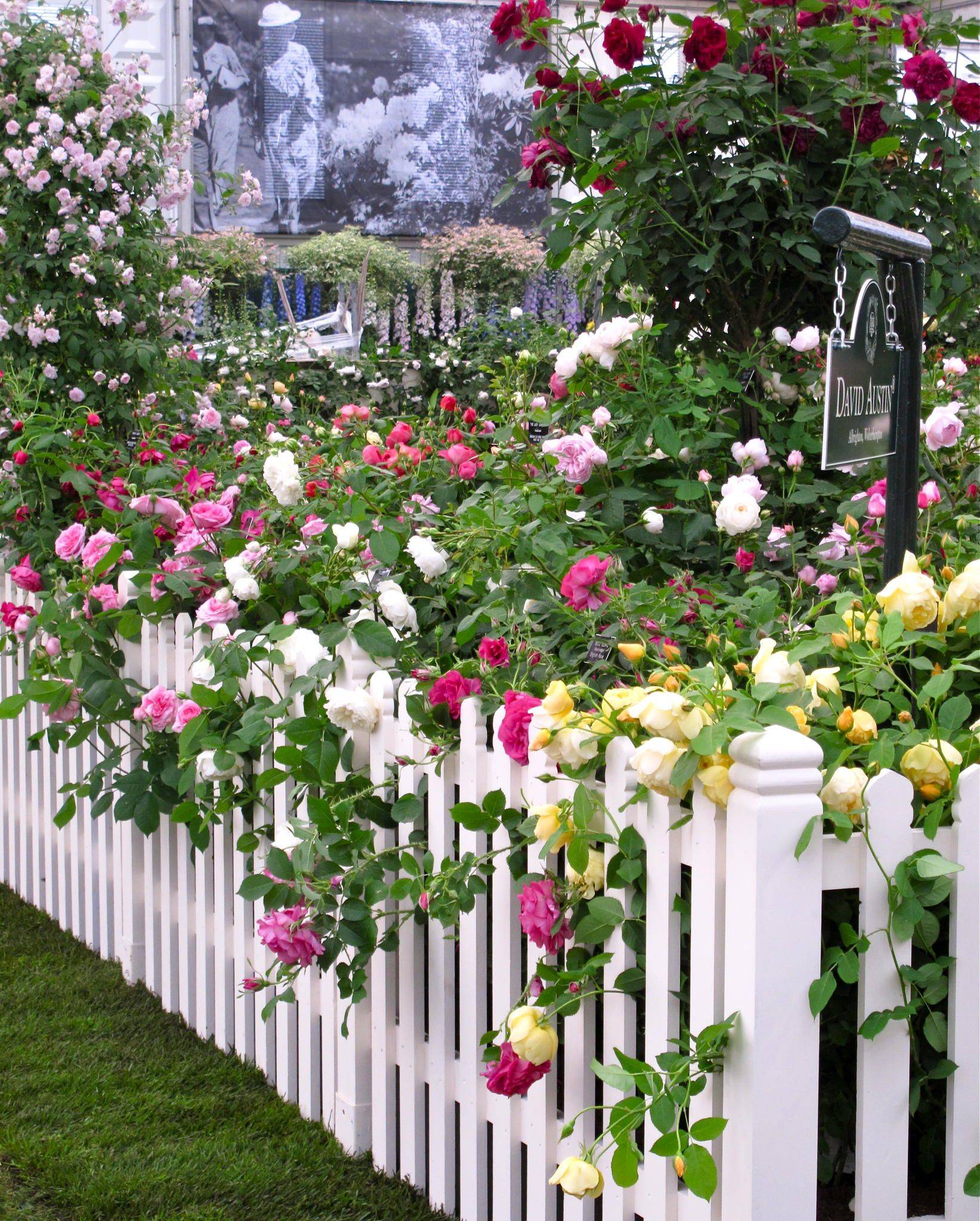 23 English Garden Picket Fence Ideas To Try This Year | SharonSable
