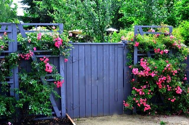 20 Blue Garden Fence Ideas For This Year | SharonSable