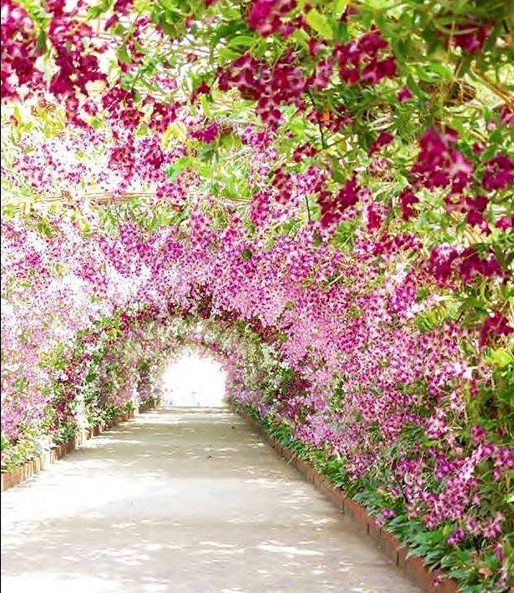 22 Beautiful Heaven Garden Ideas For This Year | SharonSable