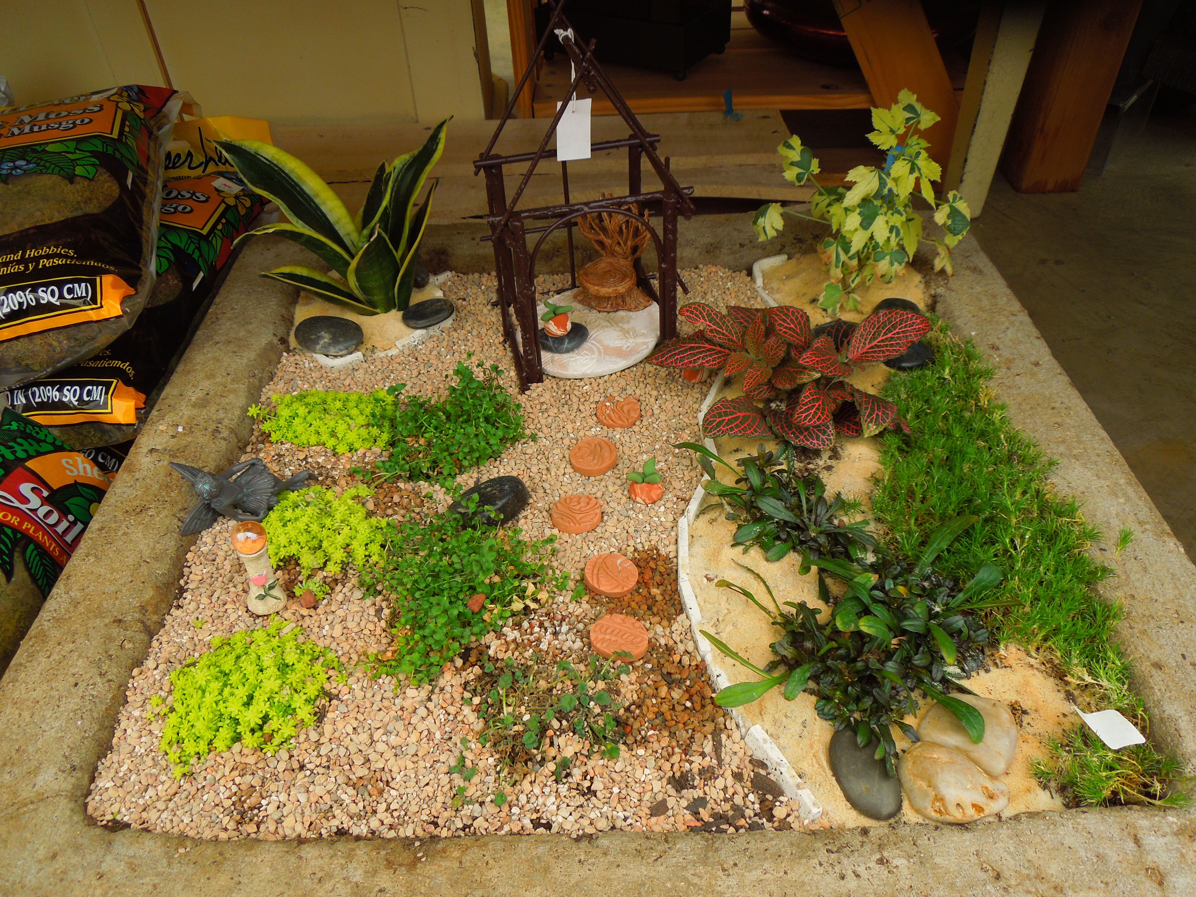 23 Moss Fairy Garden Ideas Worth a Look | SharonSable