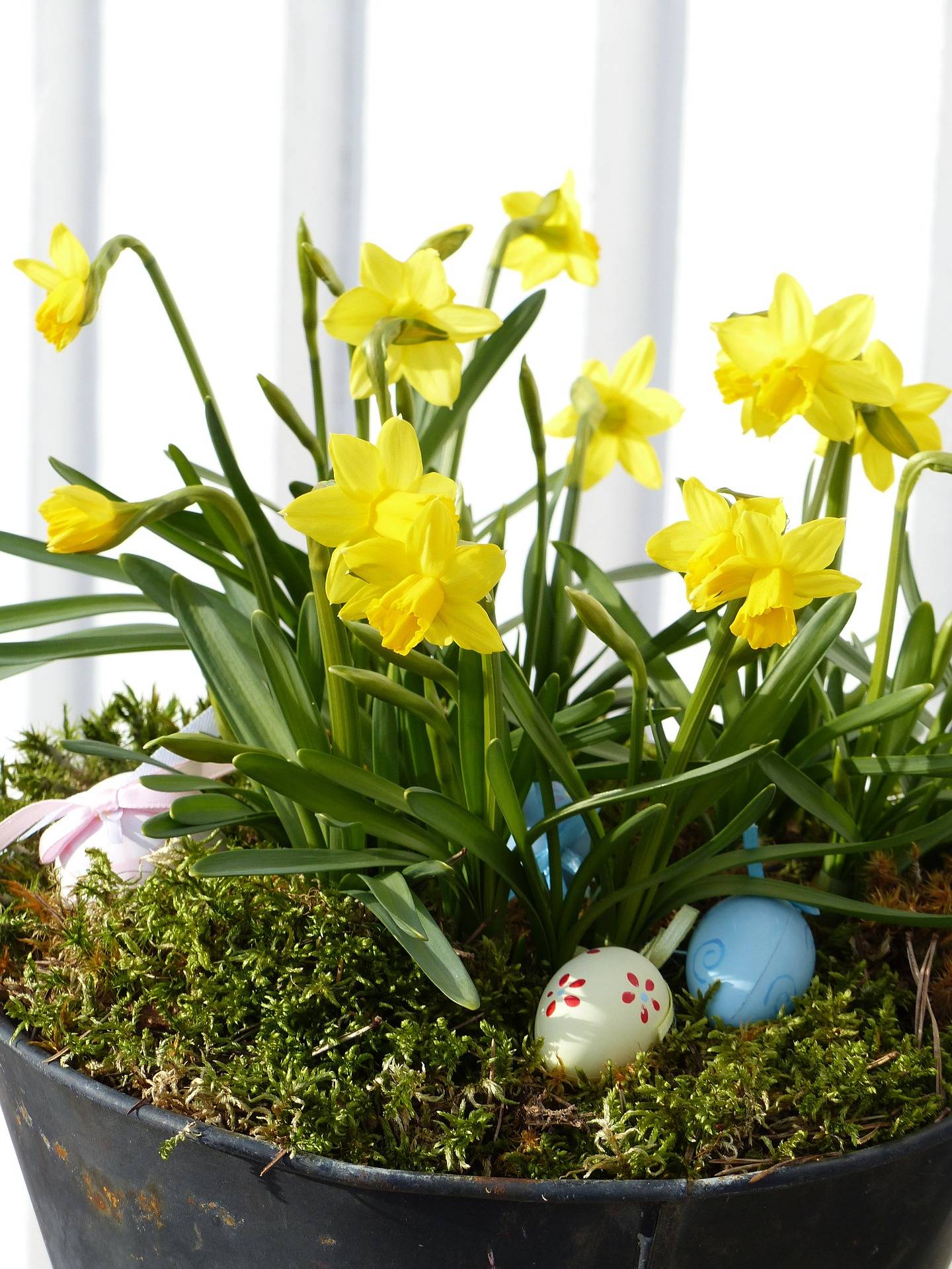 22 Easter Flower Garden Ideas Worth to Check | SharonSable