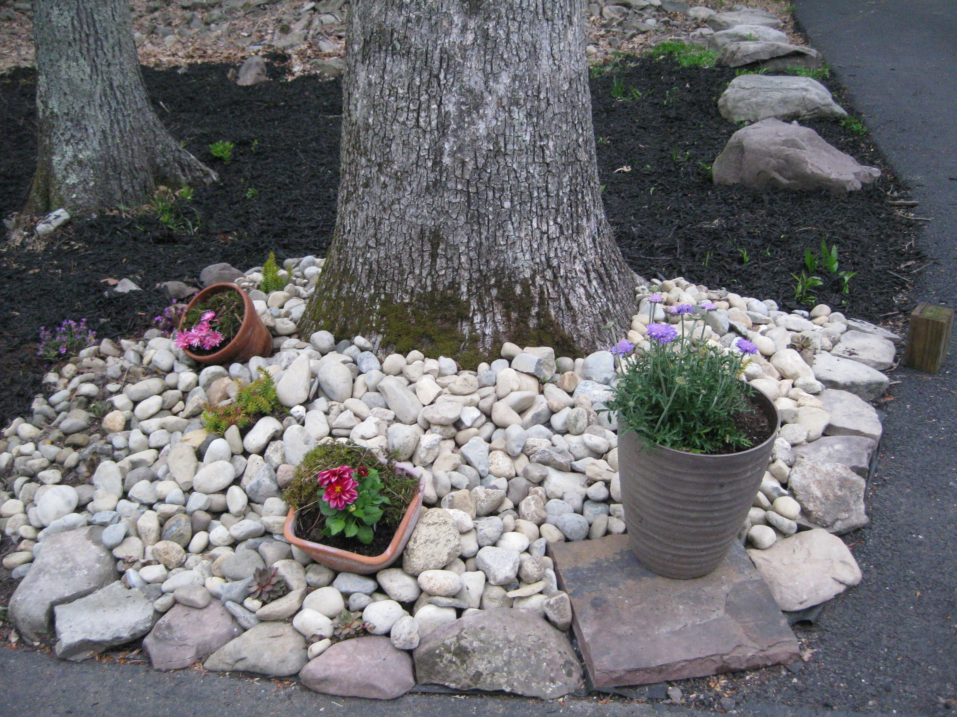 18 Easy Rock Garden Ideas You Should Look | SharonSable