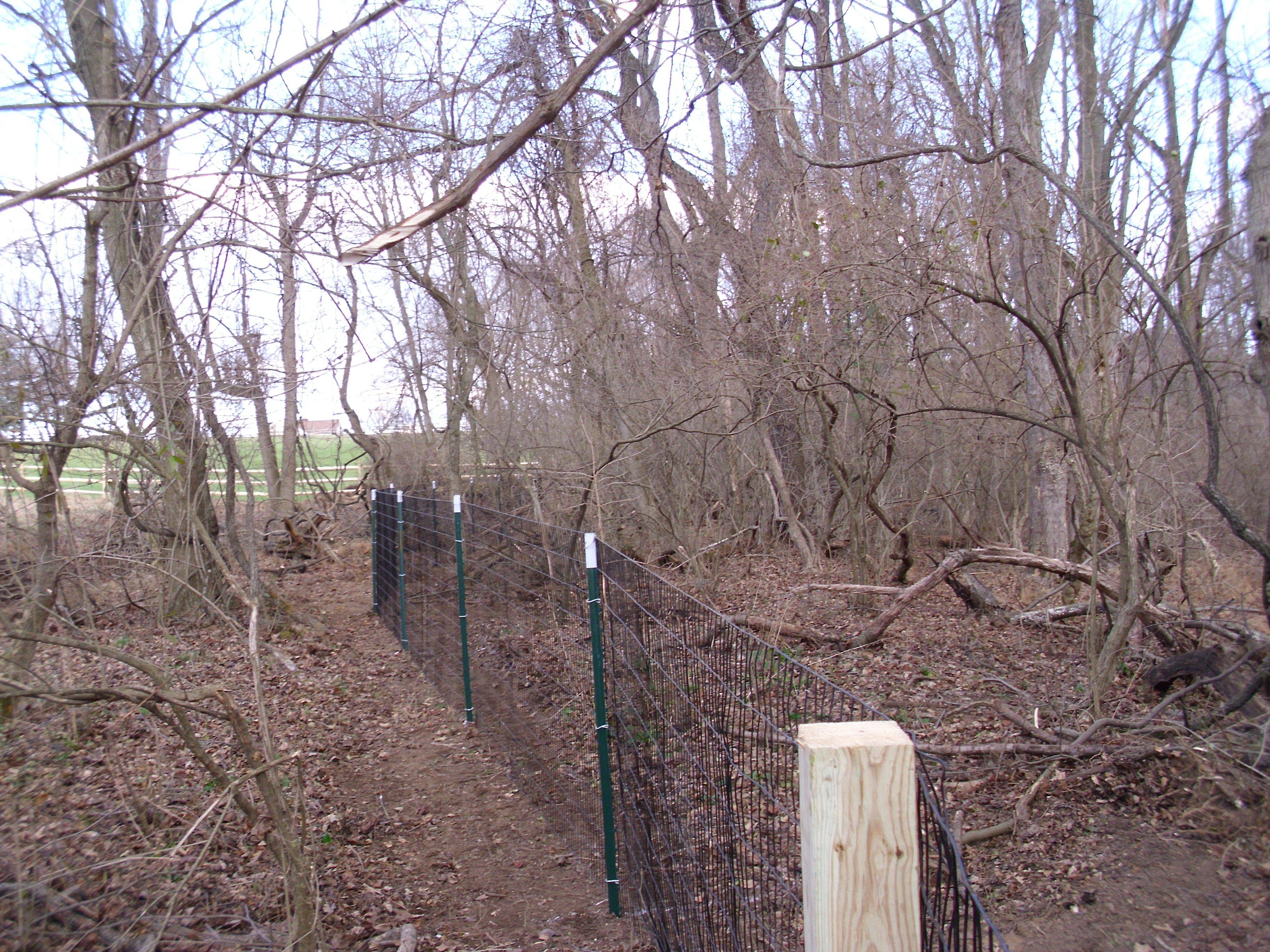 20 T-Post Garden Fence Ideas You Cannot Miss | SharonSable