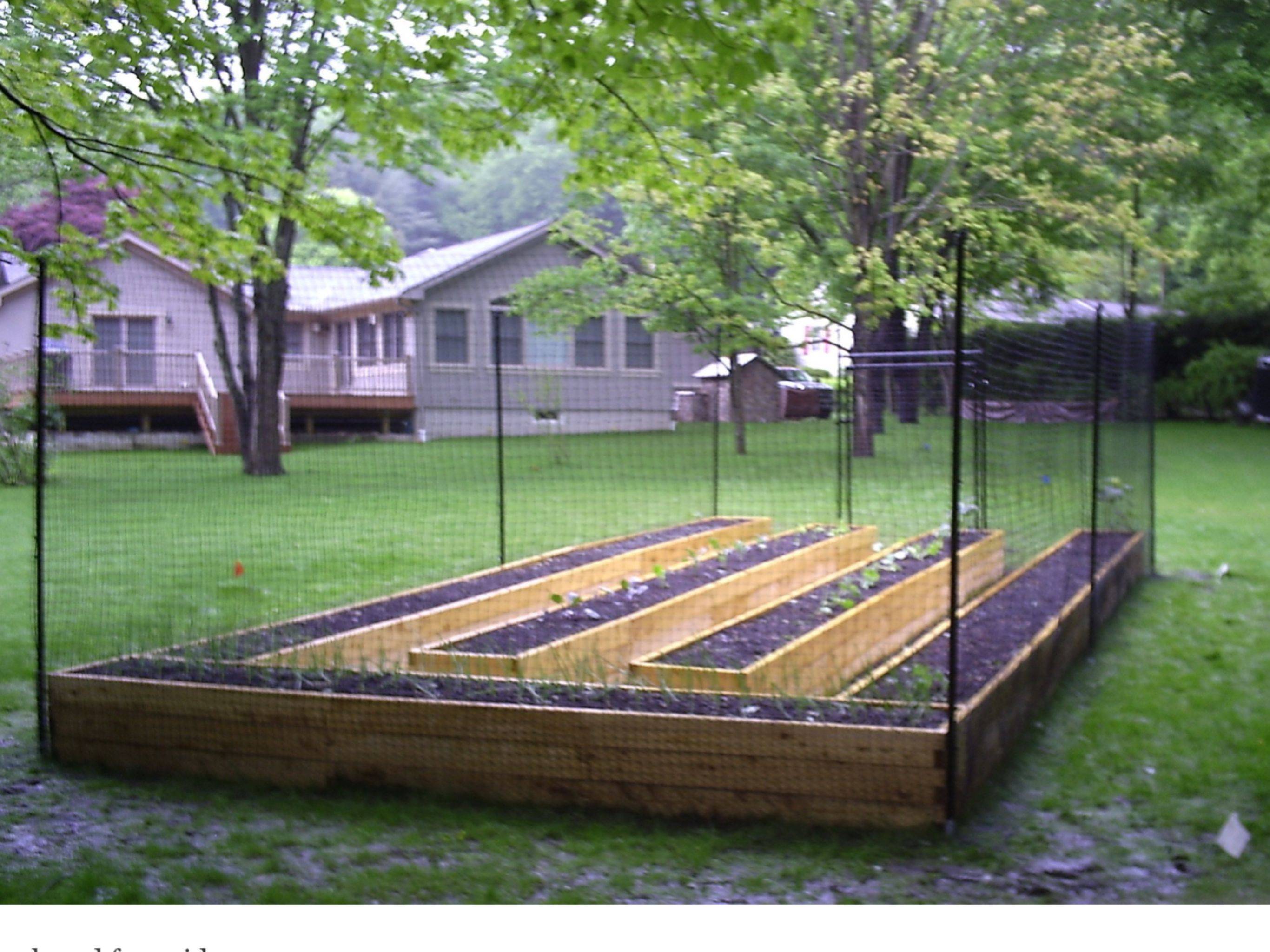20 T-Post Garden Fence Ideas You Cannot Miss | SharonSable