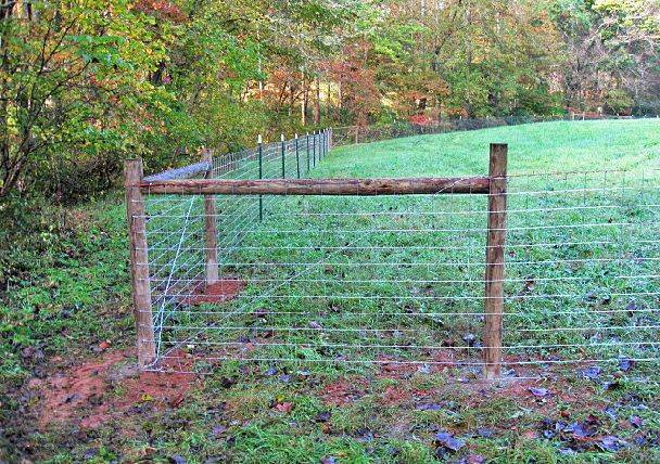 20 T-Post Garden Fence Ideas You Cannot Miss | SharonSable