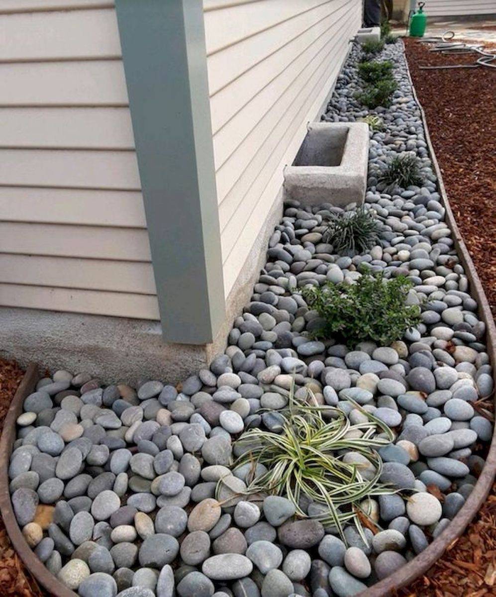 10 Low Maintenance Rock Garden Ideas You Should Check | SharonSable