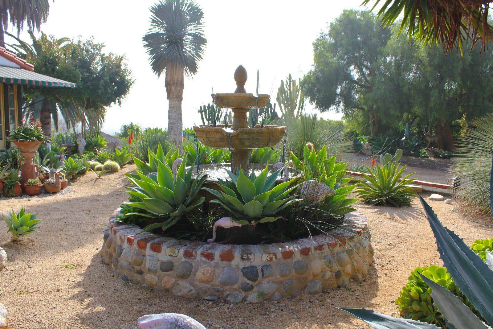 21 Mexican Garden Ideas To Try This Year | SharonSable