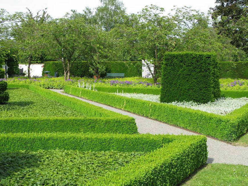23 Garden Hedge Ideas To Consider | SharonSable