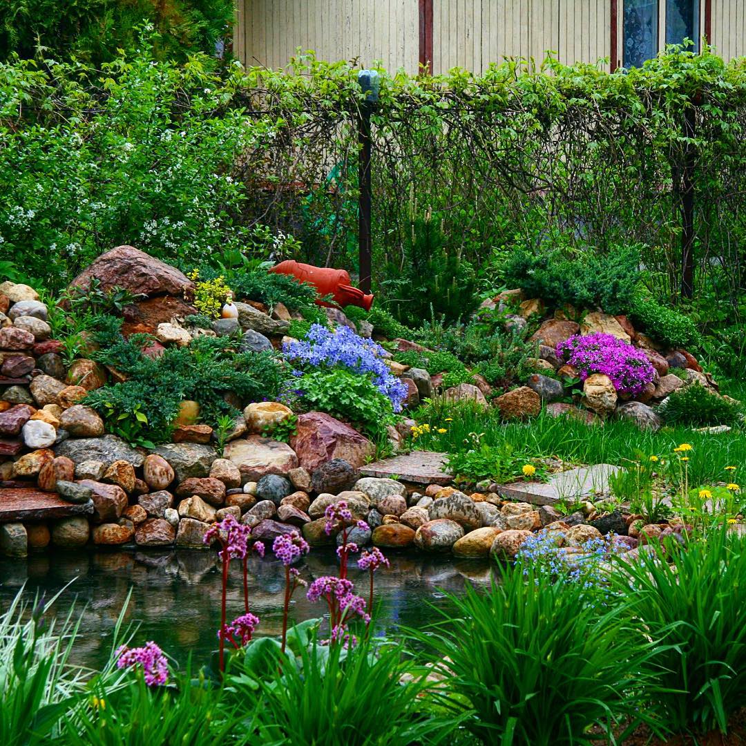 19 Perennial Rock Garden Landscaping Ideas You Gonna Love | SharonSable