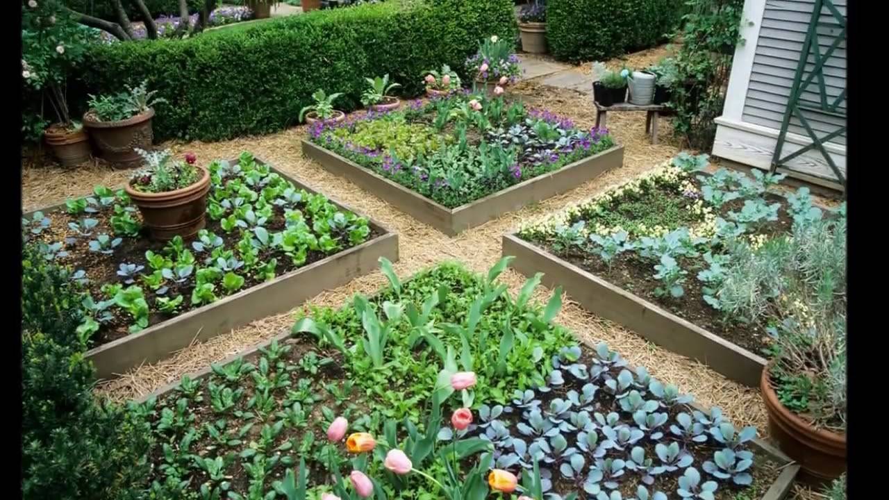 21 Front Yard Food Garden Ideas To Try This Year | SharonSable