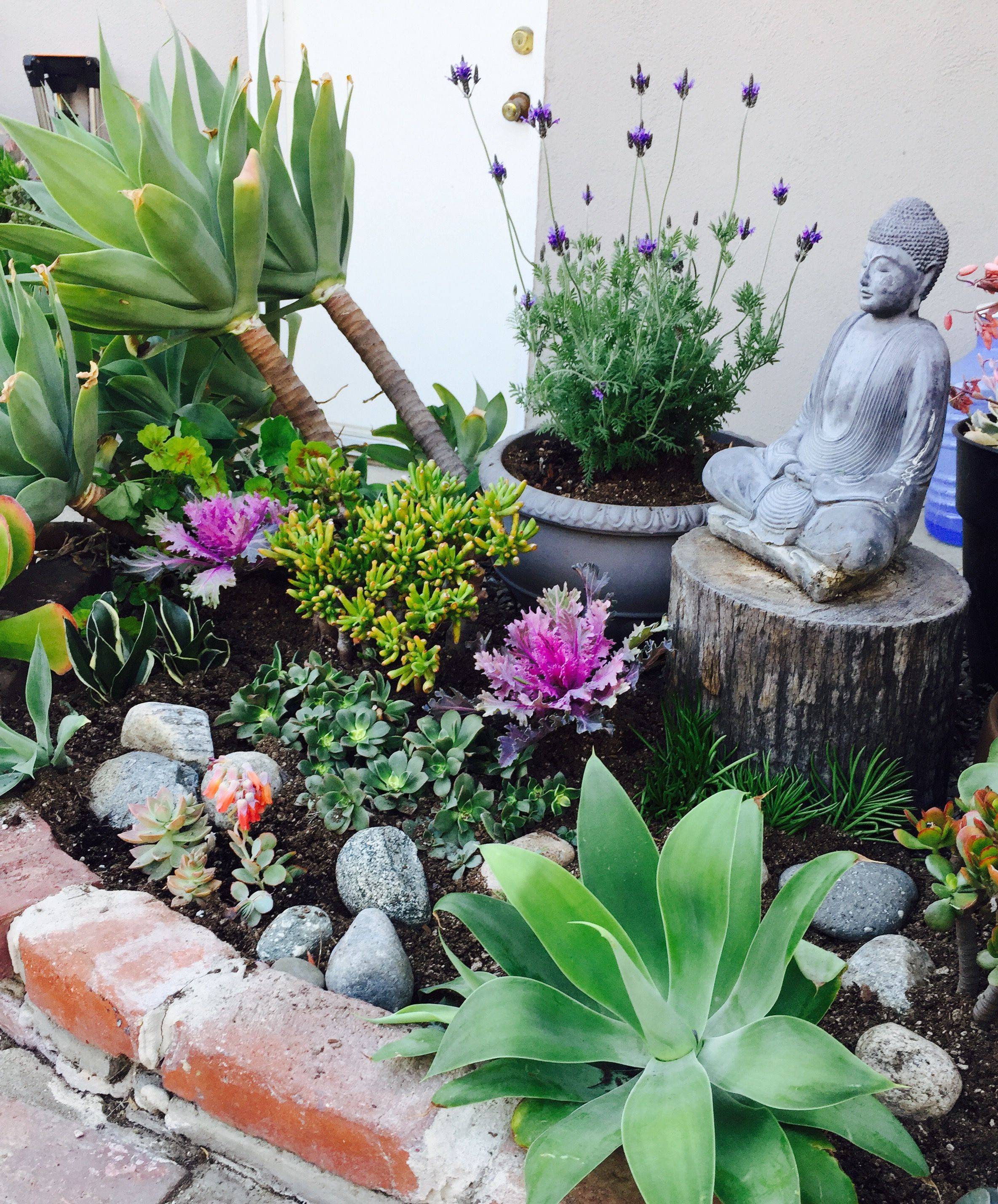21 Succulent Zen Garden Ideas You Gonna Love | SharonSable
