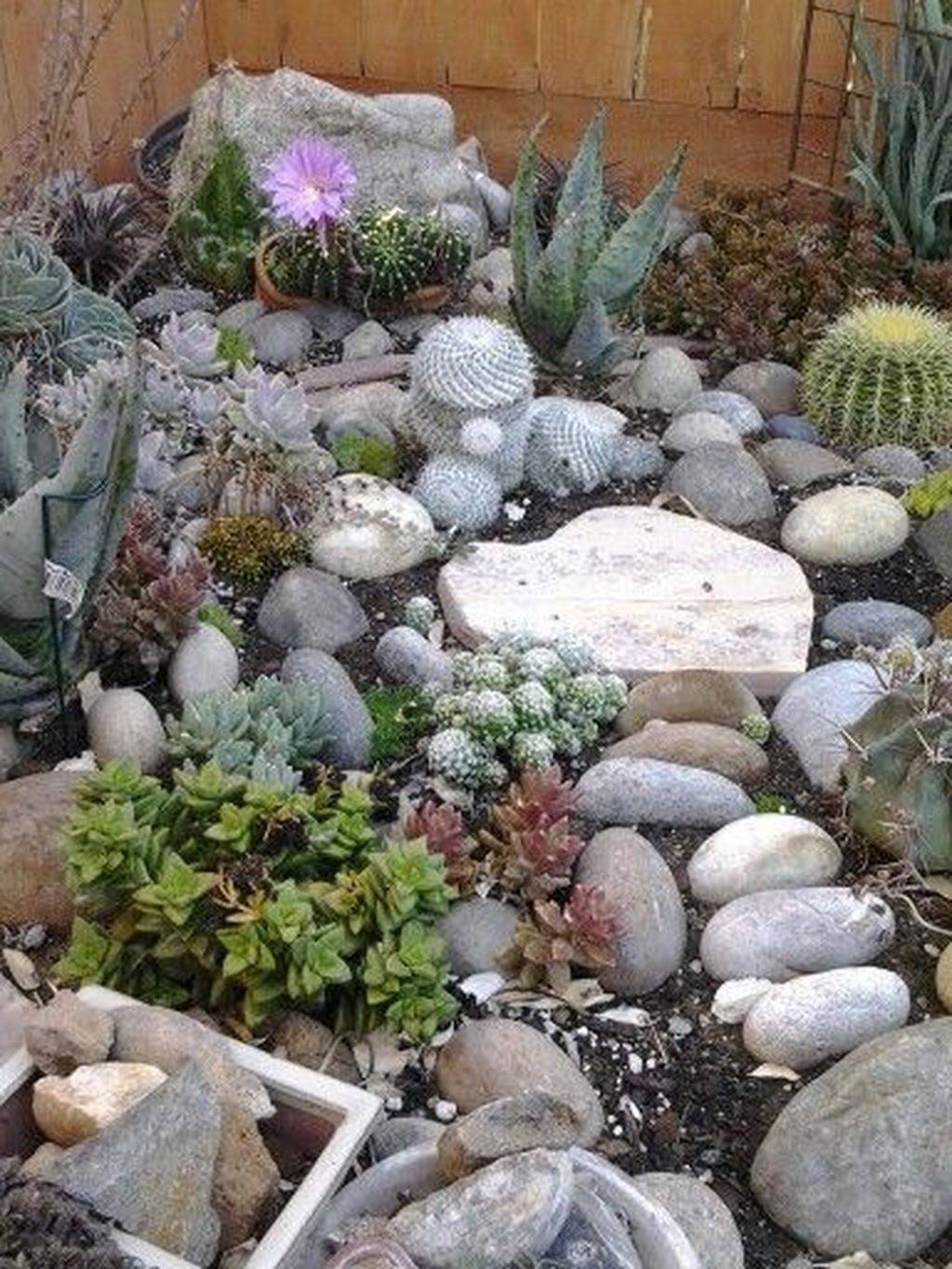 22 DIY Succulent Rock Garden Ideas To Consider | SharonSable
