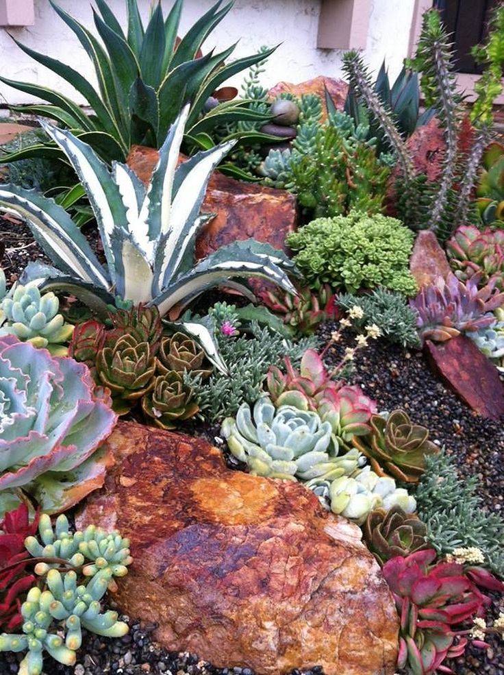 22 DIY Succulent Rock Garden Ideas To Consider | SharonSable