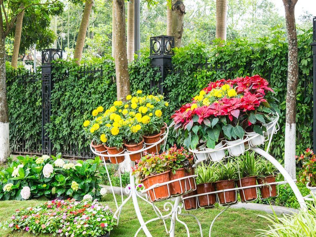 24 Beginner Flower Garden Ideas For This Year | SharonSable