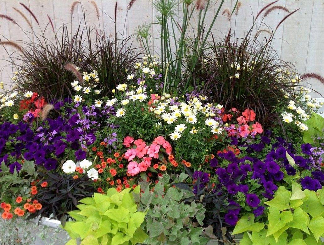 18 Florida Flower Garden Ideas To Consider | SharonSable