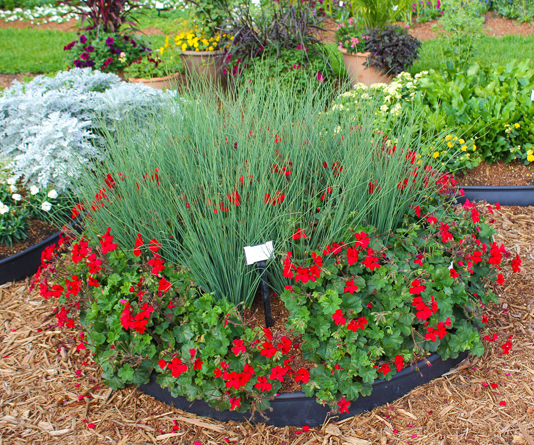 18 Easy Care Garden Ideas You Must Look | SharonSable