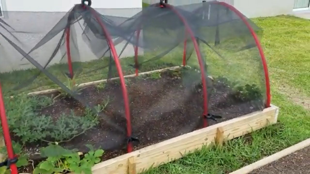 21 DIY Garden Shade Cloth Ideas Worth a Look | SharonSable