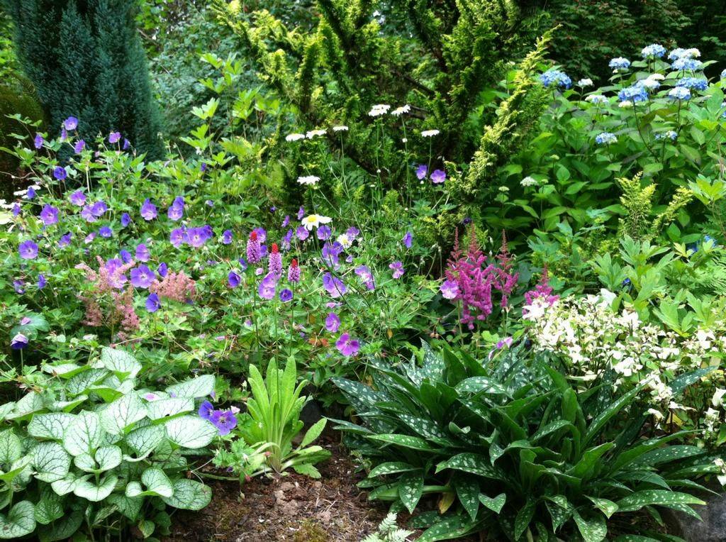 20 Partial Shade Garden Plan Ideas To Consider | SharonSable