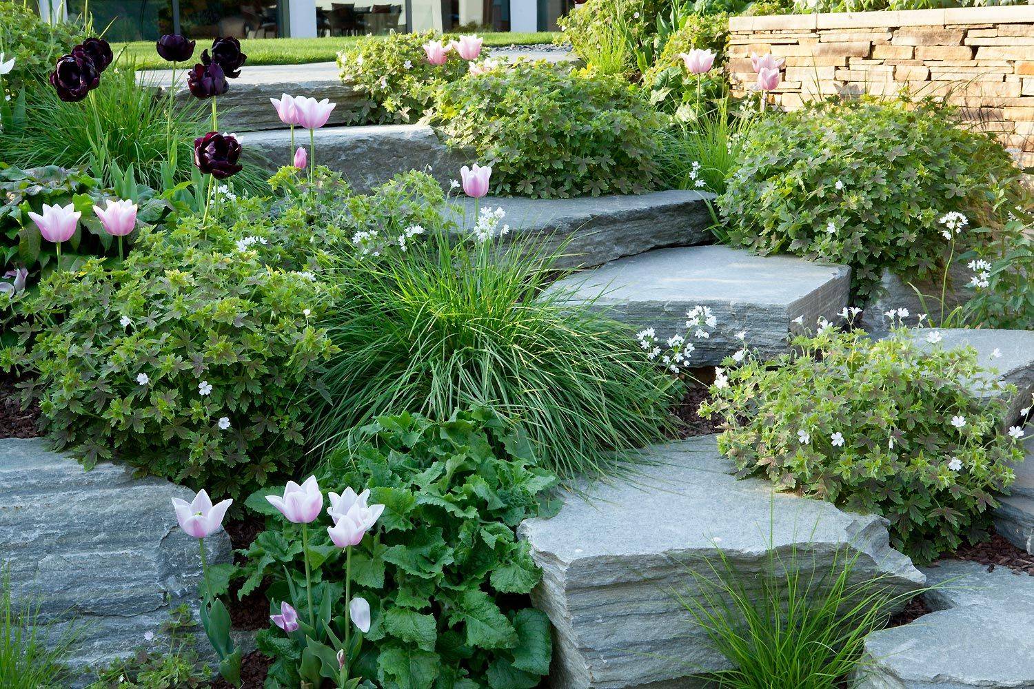 21 Full Shade Garden Design Ideas To Try This Year | SharonSable