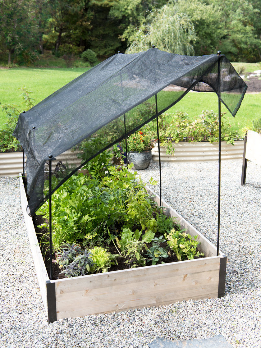 21 Garden Shade Frame Ideas To Try This Year | SharonSable