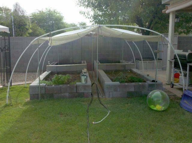 20 PVC Garden Shade Structure Ideas To Try This Year | SharonSable