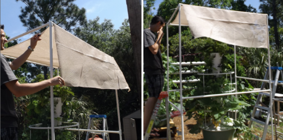 20 PVC Garden Shade Structure Ideas To Try This Year | SharonSable
