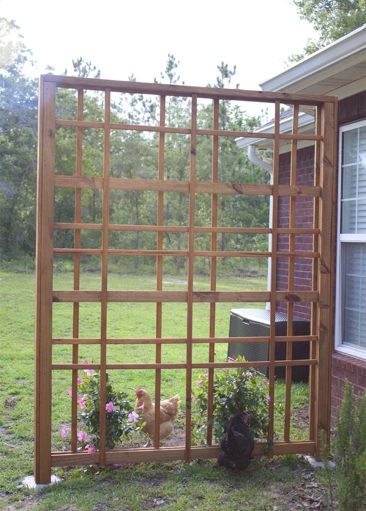 21 Modern Trellis Garden Design Ideas Worth to Check | SharonSable