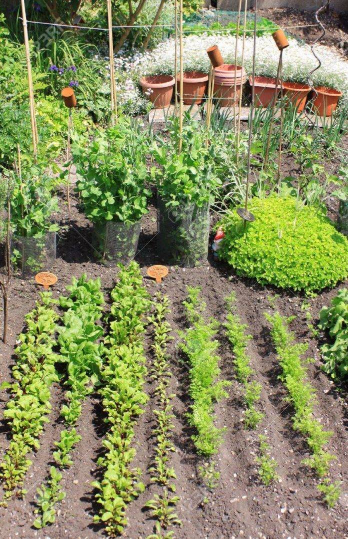 18 Small Garden Plot Design Ideas You Should Look | SharonSable