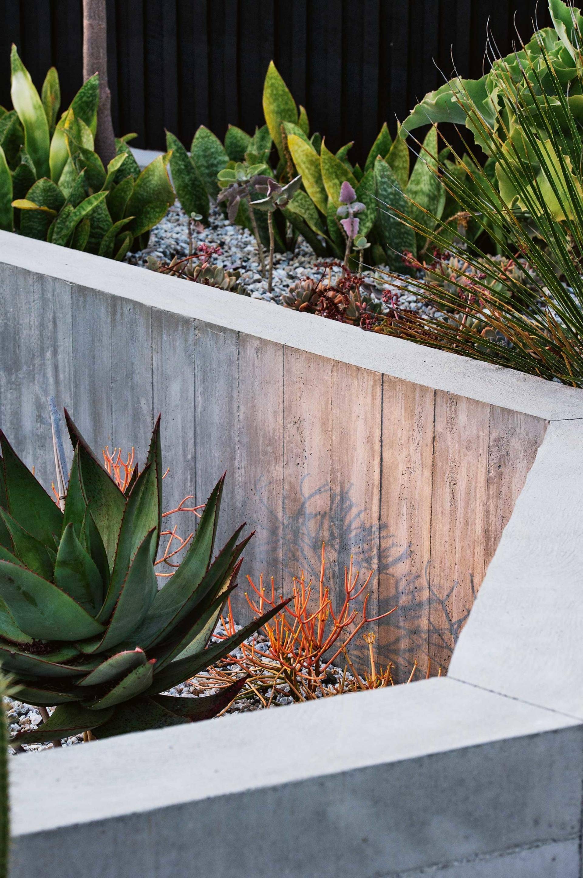 23 Palm Springs Cactus Garden Ideas To Consider | SharonSable