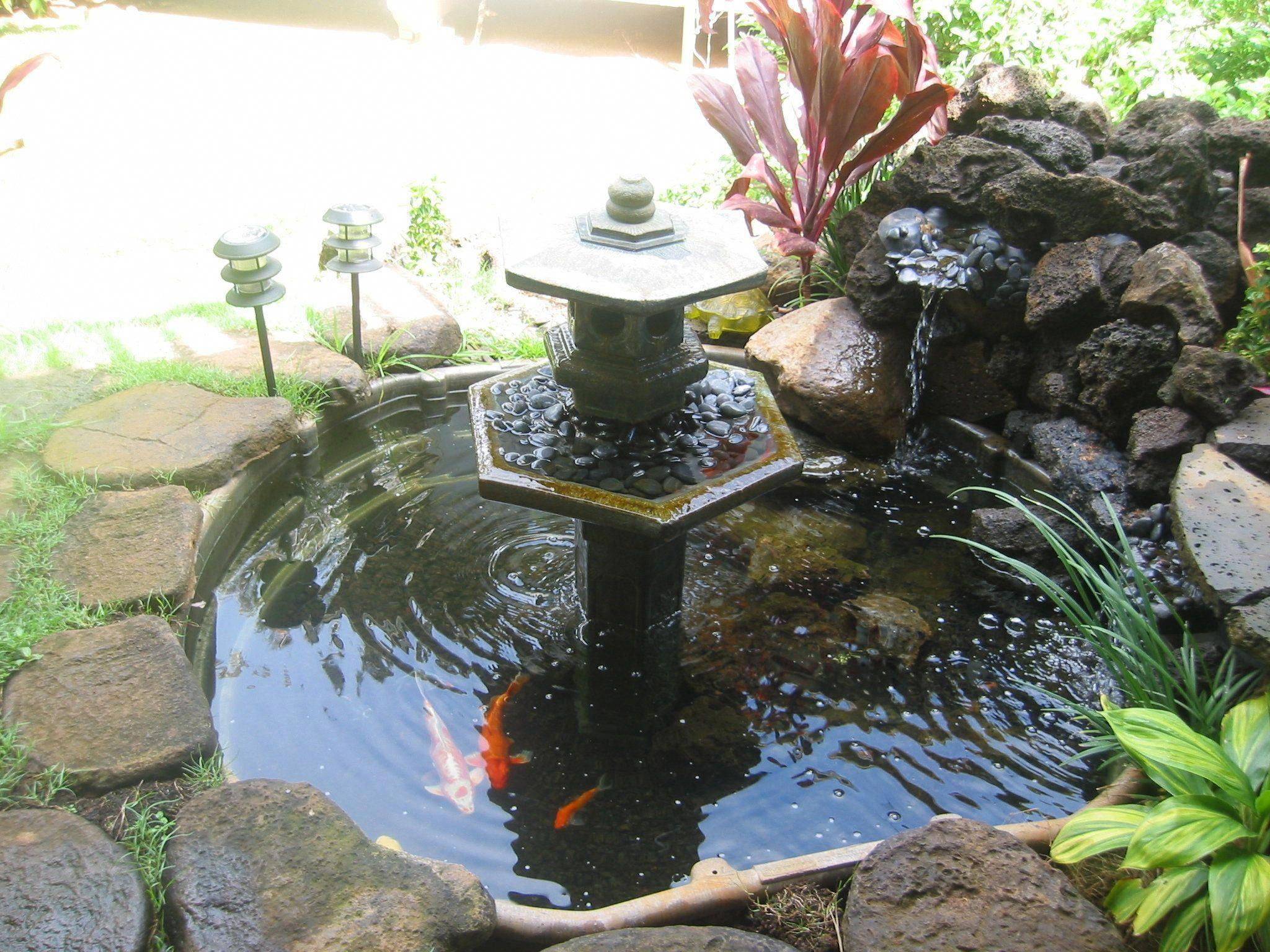 22 Zen Garden with Pond Ideas To Try This Year | SharonSable