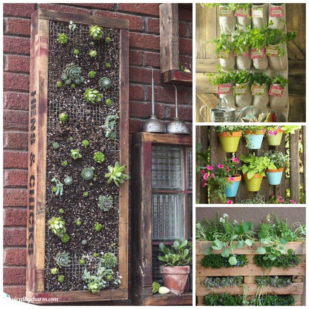 24 Beginner Shade Garden Plans Ideas You Cannot Miss | SharonSable