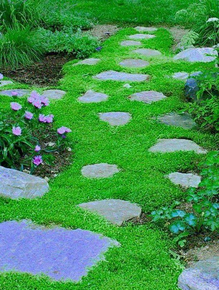 20 Garden Ground Cover Ideas To Try This Year | SharonSable