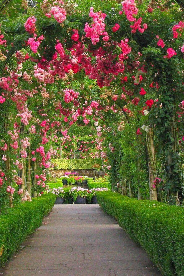 23 Beautiful Rose Garden Arbor Ideas To Try This Year | SharonSable